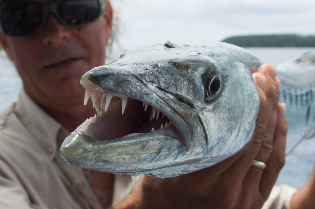 Fly Fishing - Reef Resort Vava'u